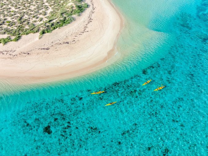 Menyelami Keindahan Laut Ningaloo Reef di Kawasan Australia Barat ...